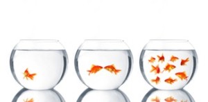 No Need to Care About Wine Industry Consolidation - Fermentation