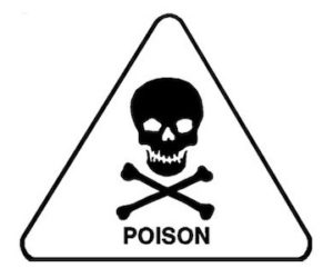 Your Wine Is Toxic and Poisonous - Fermentation